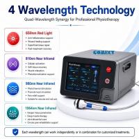 China Panacea Q4 4 Wavelength Diode Laser Physiotherapy Machine for Muscle Pain Relief and Body Recovery for sale