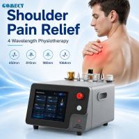 China 980nm 810nm 1064nm 650nm Diode Laser Physiotherapy Machine for Pain Relief Clinics for sale