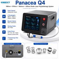 China 980nm 810nm 1064nm 650nm Diode Laser Physiotherapy Machine for Pain Relief Clinics for sale