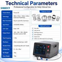 China Portable Diode Laser Pain Relief Machine for Rehab Centers Physiotherapy Clinics and Beauty Clinics for sale