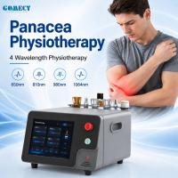 China Portable Diode Laser Pain Relief Machine for Rehab Centers Physiotherapy Clinics and Beauty Clinics for sale
