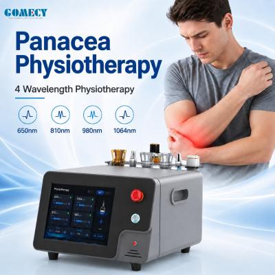 China Portable Diode Laser Pain Relief Machine for Rehab Centers Physiotherapy Clinics and Beauty Clinics for sale