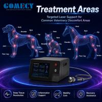 China Animals Physiotherapy Device 810 650 980 1064 Diode Laser Pain Relief Sprain Bruise Wound Healing 4 for sale