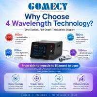 China Pain Therapy Veterinary Surgery Laser  650 810 1064 980nm Class 4 Laser Physiotherapy Equipment for sale