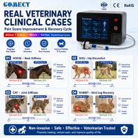 China Veterinary Physiotherapy Cold Laser Therapy Device 650+810+980+1064nm Laser  For Ease Sore And Body Pain Relief for sale