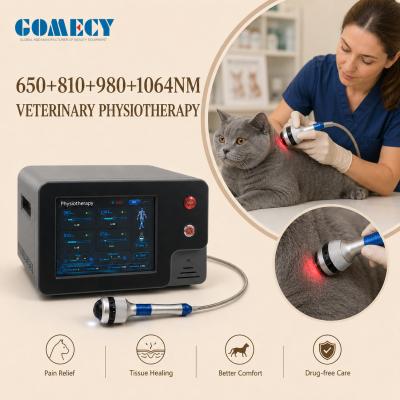 China Veterinary Physiotherapy Cold Laser Therapy Device 650+810+980+1064nm Laser  For Ease Sore And Body Pain Relief for sale