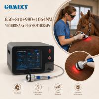 China Class 4 Laser Therapy Machine Physiotherapy Equipment for Animals 650 810 980 1064nm Laser Therapy for sale