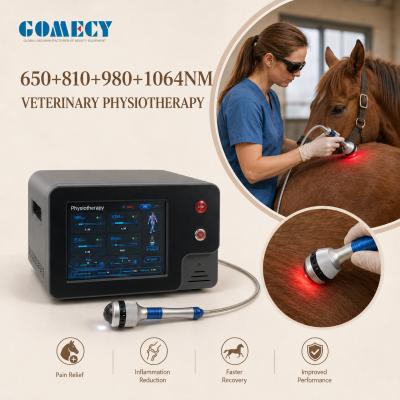 China Class 4 Laser Therapy Machine Physiotherapy Equipment for Animals 650 810 980 1064nm Laser Therapy for sale