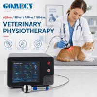 China Animals Physiotherapy Device 810 650 980 1064 Diode Laser Pain Relief Sprain Bruise Wound Healing 4 for sale