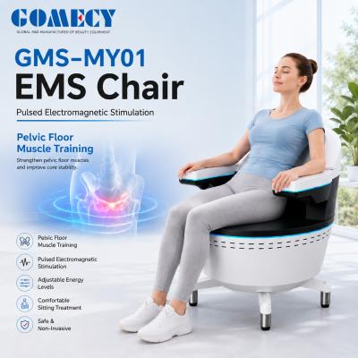 China EMS Muscle Stimulation Machine Body Sculpting Equipment for Fitness Training Beauty and Wellness Applications for sale