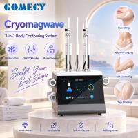 China Cryolipolysis Slimming Machine designed for appearance management and body shaping in professional beauty and wellness environments for sale