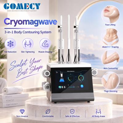 China Cryolipolysis Slimming Machine designed for appearance management and body shaping in professional beauty and wellness environments for sale