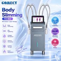 China Cryolipolysis Slimming Machine with 685nm Laser and FREEZEWAVE Technology for Targeted Fat Reduction and Skin Firming Support for sale