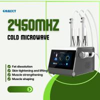 China GOMECY 2.45GHz Microwave and Magnetic Contouring Platform with 3mm 7mm 15mm Applicators and Touch Control for Salons for sale