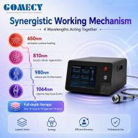China Panacea Q4 4 Wavelengths Diode Laser Therapy With 980nm 810nm1064nm 650nm Pain Relief Biorepairing Healing Device for sale
