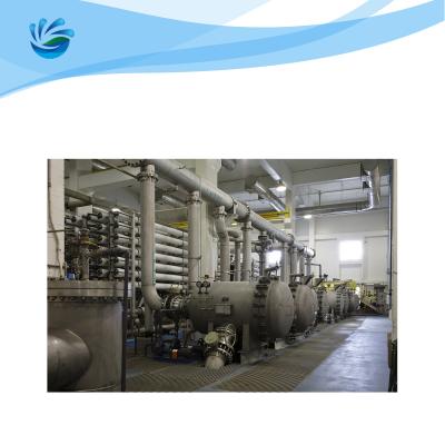 China Large Capacity Seawater Desalination RO System Salt Water Purification Machine for sale