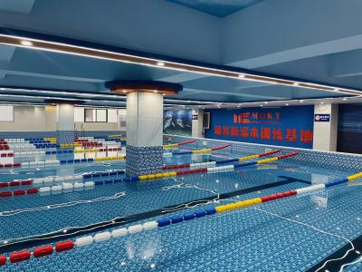 China Zn-Al-Mg Steel Competition Swimming Pool 50×25×2M with 5-Layer Thermal Insulation and Intelligent Controls for sale