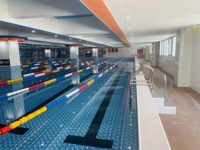 China Above Ground Competition Swimming Pool 50×25×2M Steel Frame PVC with Zn-Al-Mg Coating and FINA Standards for sale