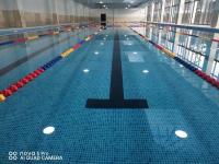 China Modern Family Size Aluminum Above Ground Swimming Pool 2M Depth with Zn-Al-Mg Steel Frame 50x25x2M Size for sale