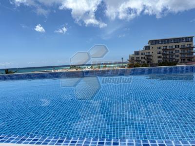 China Custom Aluminum Swimming Pool 50×25×2M with Zn-Al-Mg Steel Frame - 15 Year Warranty for sale