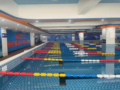 China Modular Steel Competition Swimming Pool Zn-Al-Mg 2m Depth Fast Assembly for sale