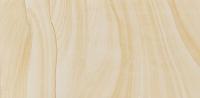 China Polished Porcelain Tile 600x1200mm Glossy Floor and Wall Tile Low Water Absorption for sale