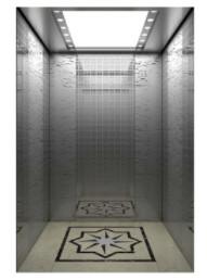 China Fuji Small Elevators For Commercial Buildings 630KG SS304 Handrail for sale