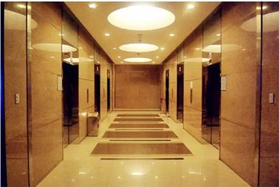 China VVVF Control Automatic Door Passenger Elevator With 1000mm*1000mm Cabin Size for sale