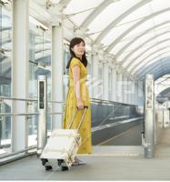 China FUJI 5000KG Airport Moving Walkway 1400mm Outdoor Travelator for sale