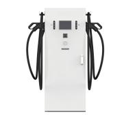 China 120-240KW DC Fast EV Charging Station with 5m Cable and IP65 Circuit Breaker Protection for sale
