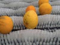 China Potato Peeling Roller Sweeper Brush Roller OEM For Conveyor Belt for sale