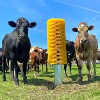 China Cow Brush Cattle Breeding Livestock Scratching Brush For Cows for sale
