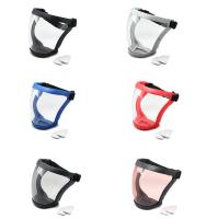 China Full Face Integrated HD PC Plastic Face Shield For Cycling Isolation 200g for sale