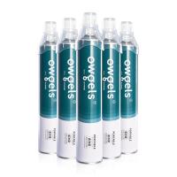 China 1000ml Portable Medical Oxygen Inhaler Bottle 99.6% Pure Oxygen for Pregnant Women High Altitude for sale