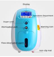 China Flow Adjustable 1l Oxygen Concentrator Machine With Atomizer Low Noise for sale