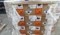 China Shenzhen Canada International Freight Shipping Dangerous Goods High Safety for sale