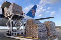 China Shenzhen China To Canada Freight Forwarder Air Freight Service General Cargo for sale