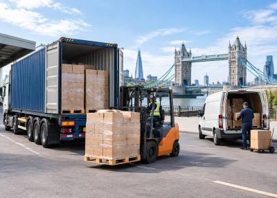 China 深圳到伦敦火锅底料空运DDP for sale