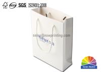 China Laminated Cotton Rope Handle Single Logo Colour Paper Kraft Bag for sale