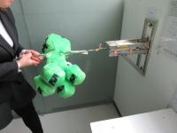China Third Party Plush Toys Inspection Services with English Report language for sale