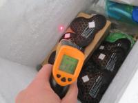 China Gel Packs Quality Inspection , Personal Care Products QC Inspection Services for sale