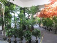 China Artificial Plant Final Quality Inspection Services Within 24hours Issue Report for sale