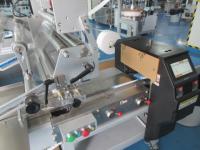 China Fully Automatic Mask Machinery Inspection Services Within 24 Hours Issue Report for sale