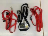 China Amazon Hot Selling Dog Collar Leash Set QC Quality Control Final Inspection for sale