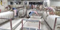 China Factory and  Supplier Qualification Audit For Ceramic Shampoo Basin for sale
