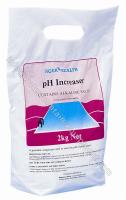China White Powder Swimming Pool Chemicals Sodium Carbonate PH Increaser For Water Treatment for sale