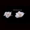 China Digital Empress Onlay And Inlay Customized By Dental Prosthesis Laboratory for sale