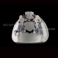 China 3D Printing Titanium Dental Framework for Customized Removable Dentures for sale