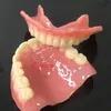 China China Dental Lab Digital Full Dentures Using CAD/Cam Technology 3D Printing and Skilled Technicians for sale