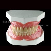 China Natural Looking Removable Partial Dentures Customized for Daily Functions for sale